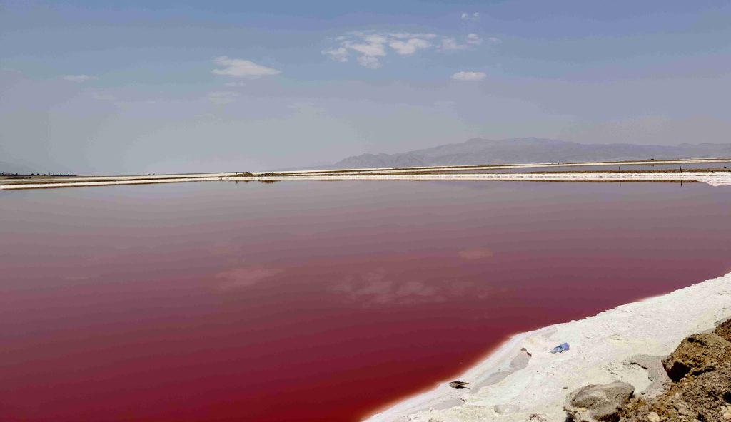 Maharloo Lake, Shiraz | Iran’s Pink Salt Paradise - M&S TRAVELING